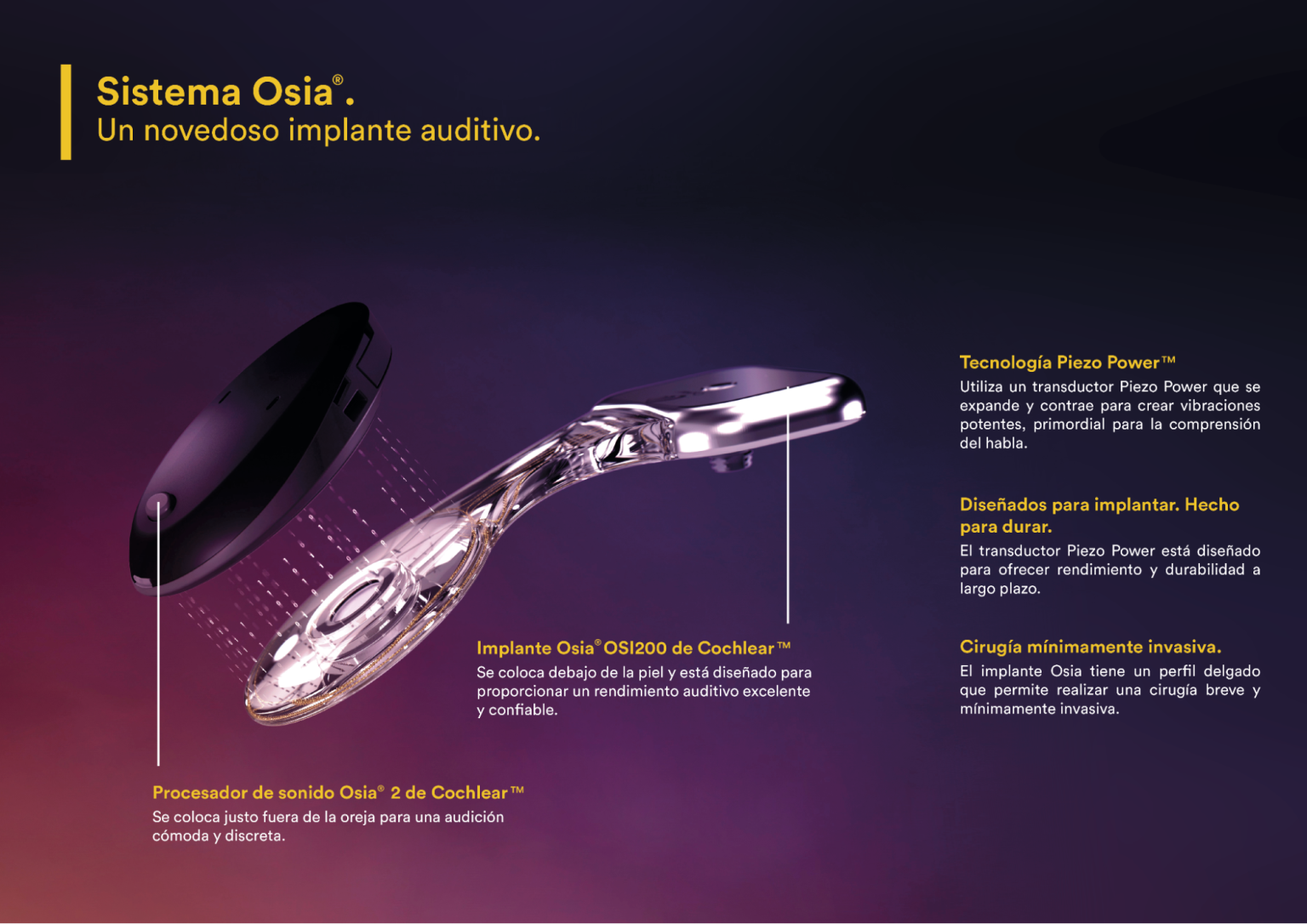 Todo lo que necesitas saber sobre la cirugía para la implantación del ...